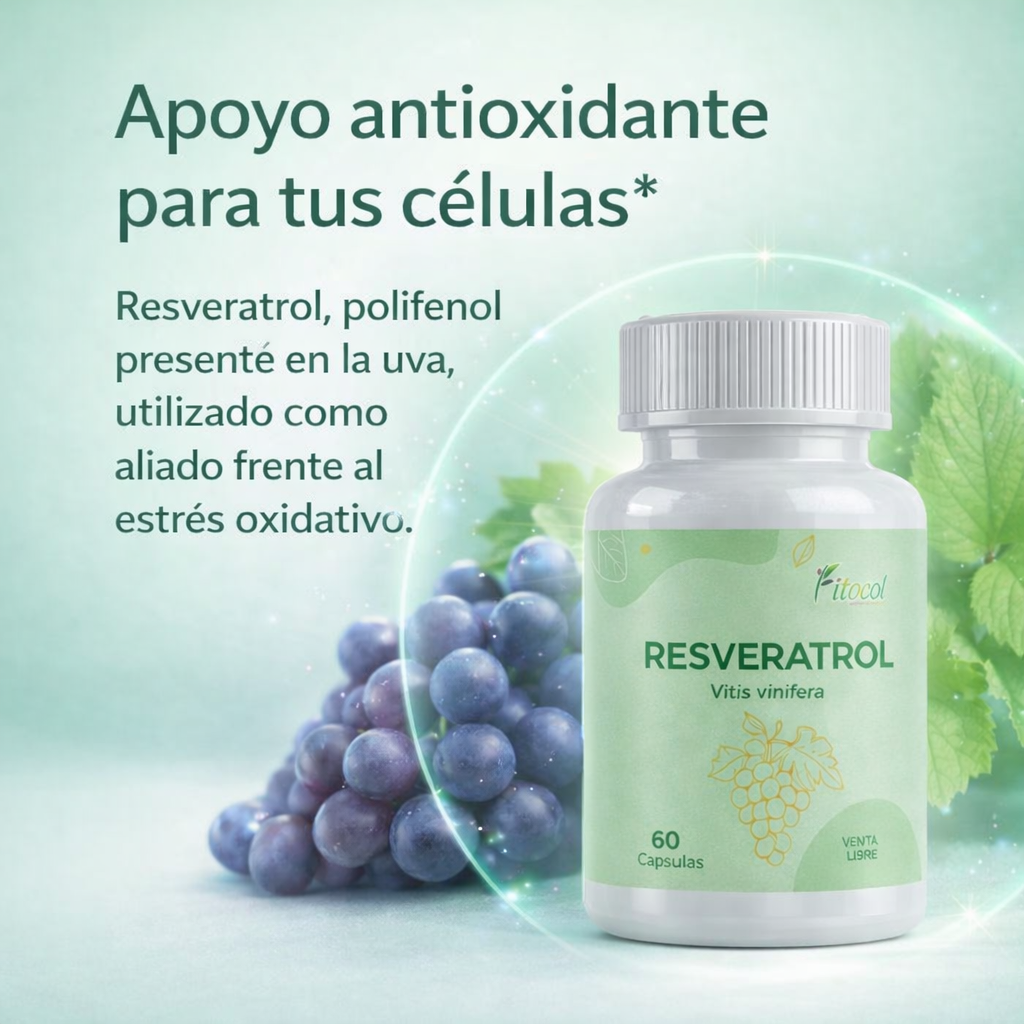 Resveratrol – Extracto de uva (60 cápsulas) – Yasáf